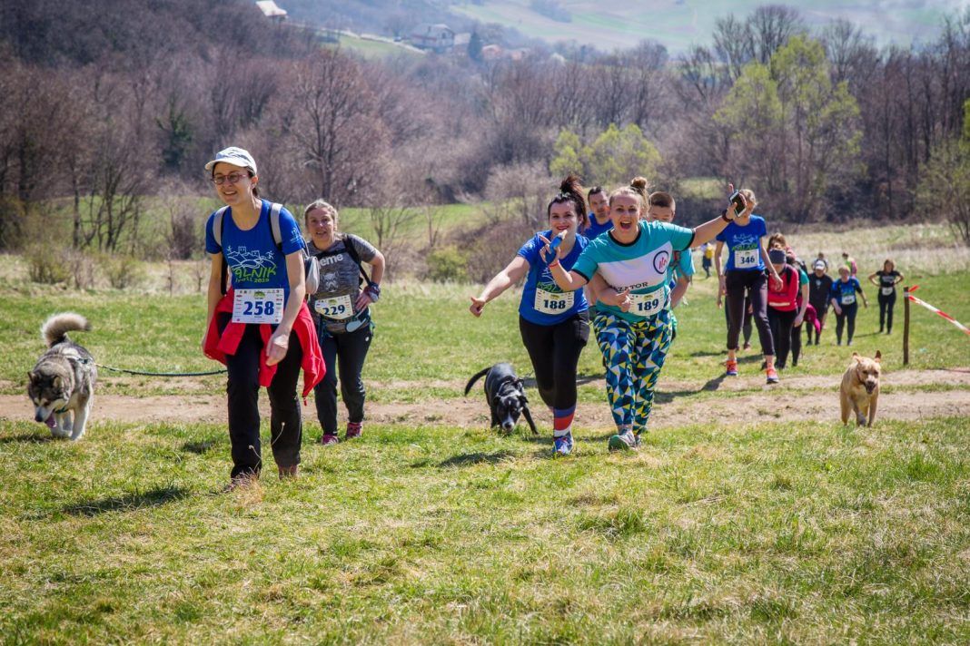 Kalnik Trail - Bor, Peca i Gabrinovec kao staze koje nude najljepše od ...